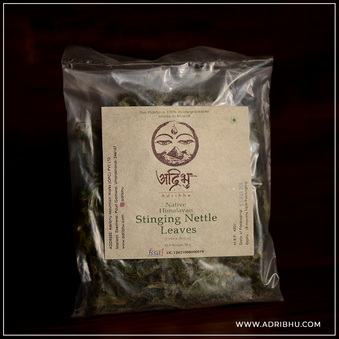 Himalayan Stinging Nettle Leaves (Urtica dioica/ Bichhhu Ghaas/ Kandal ...